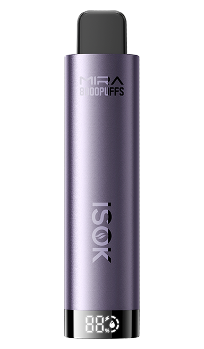 ISOK VAPE disposable electronic cigarette-Dongguan Hanhui Jingbo ...